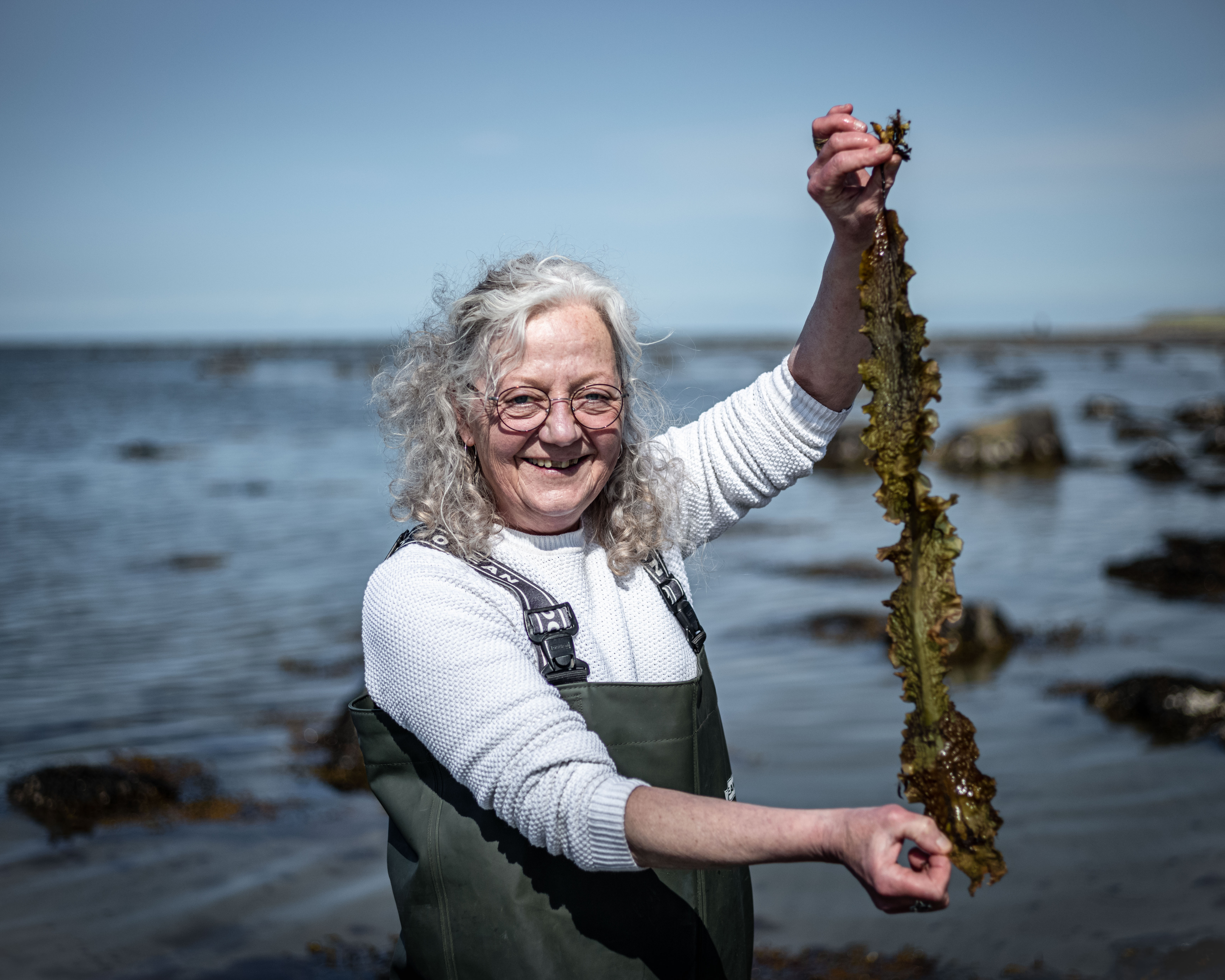 Læsø Tang. Guidede naturture og events. BOOK ONLINE 24/7